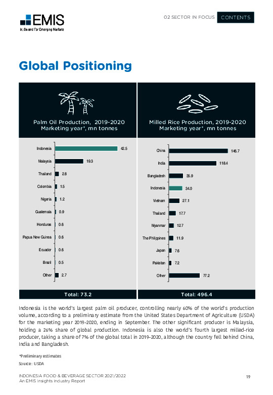 Indonesia Food and Beverage Sector Report 2021-2022 Industry Report | EMIS Insights