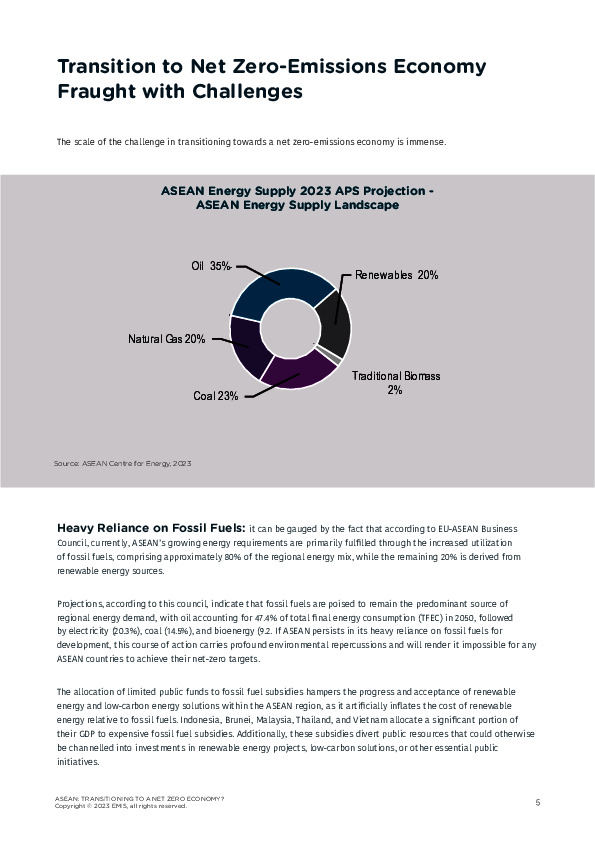ASEAN Transitioning to Net Zero Economy Industry Report | EMIS Insights
